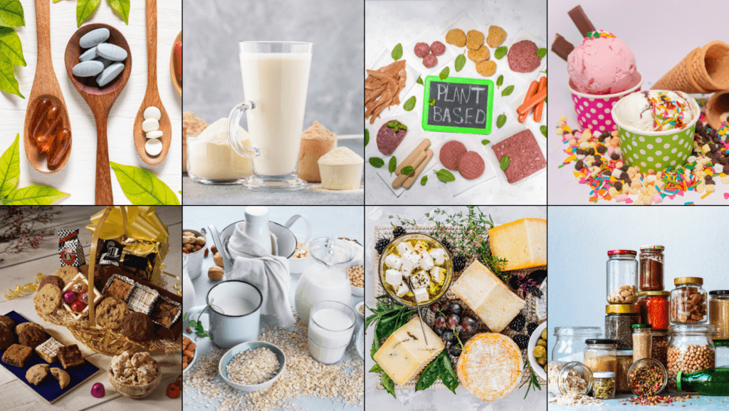 What Are Non-Vegan Foods | Living The Vegan Lifestyle 2025