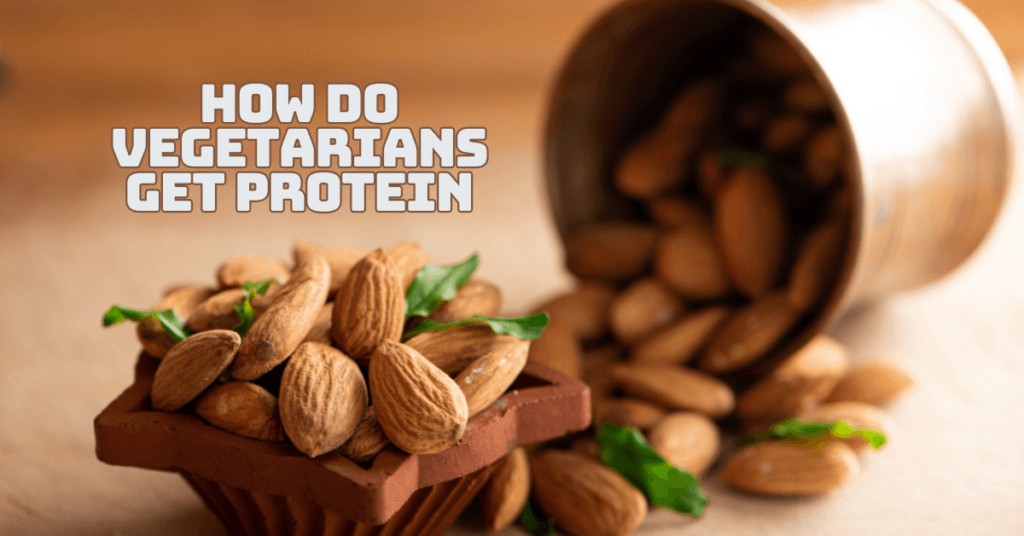 Best Vegetarian Diet Guide 2026 | Living The Vegan Lifestyle