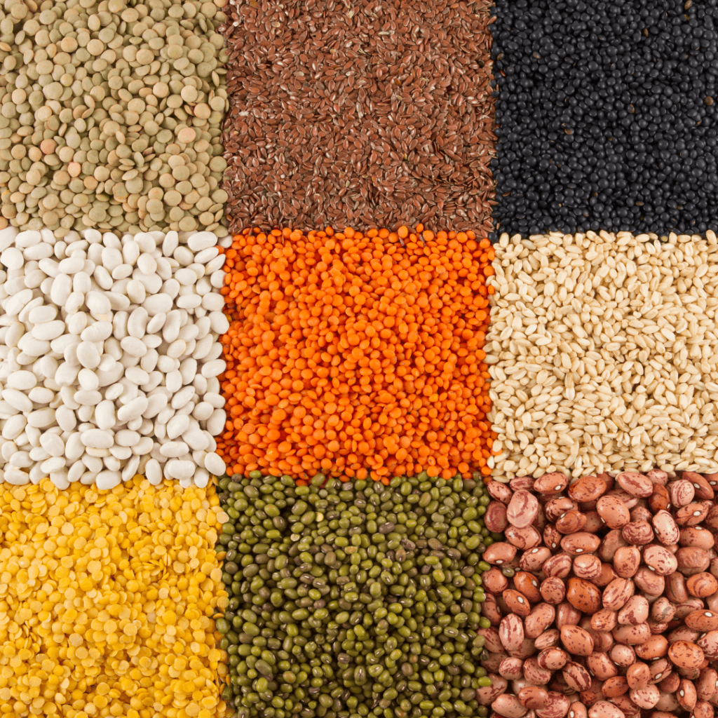 Best Vegan Sources Of Calcium | Updated: June 2026