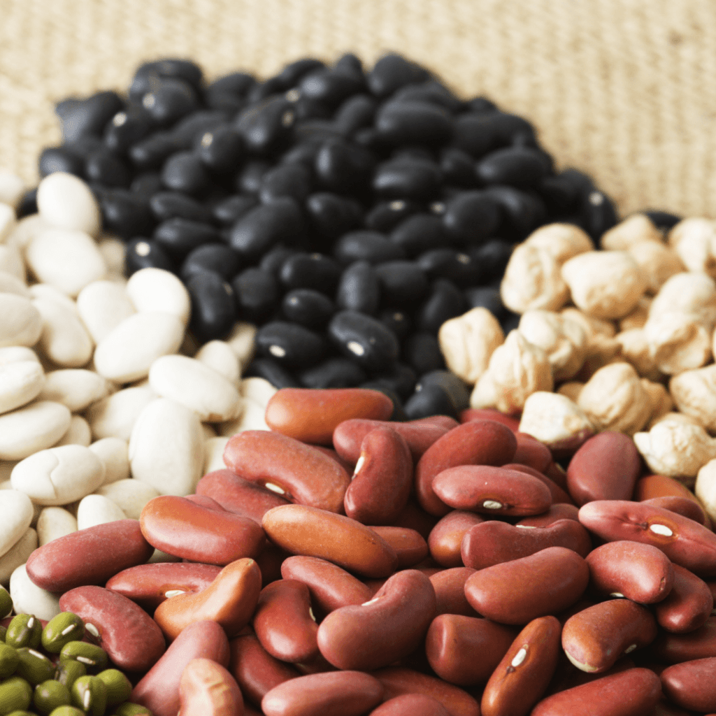 10 Essential Vegan Calcium Sources For Your Kids 2026
