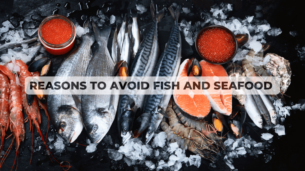7 Reasons Why Seafood Might Be Bad For You – JQMCLV