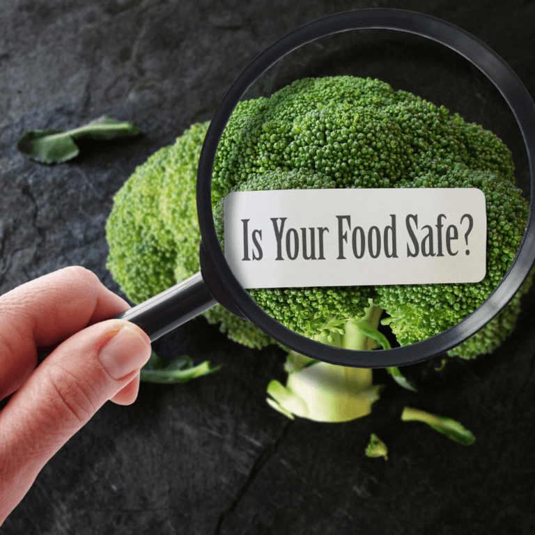 Plant-Based Meat Vs Real Meat | Updated In 2025