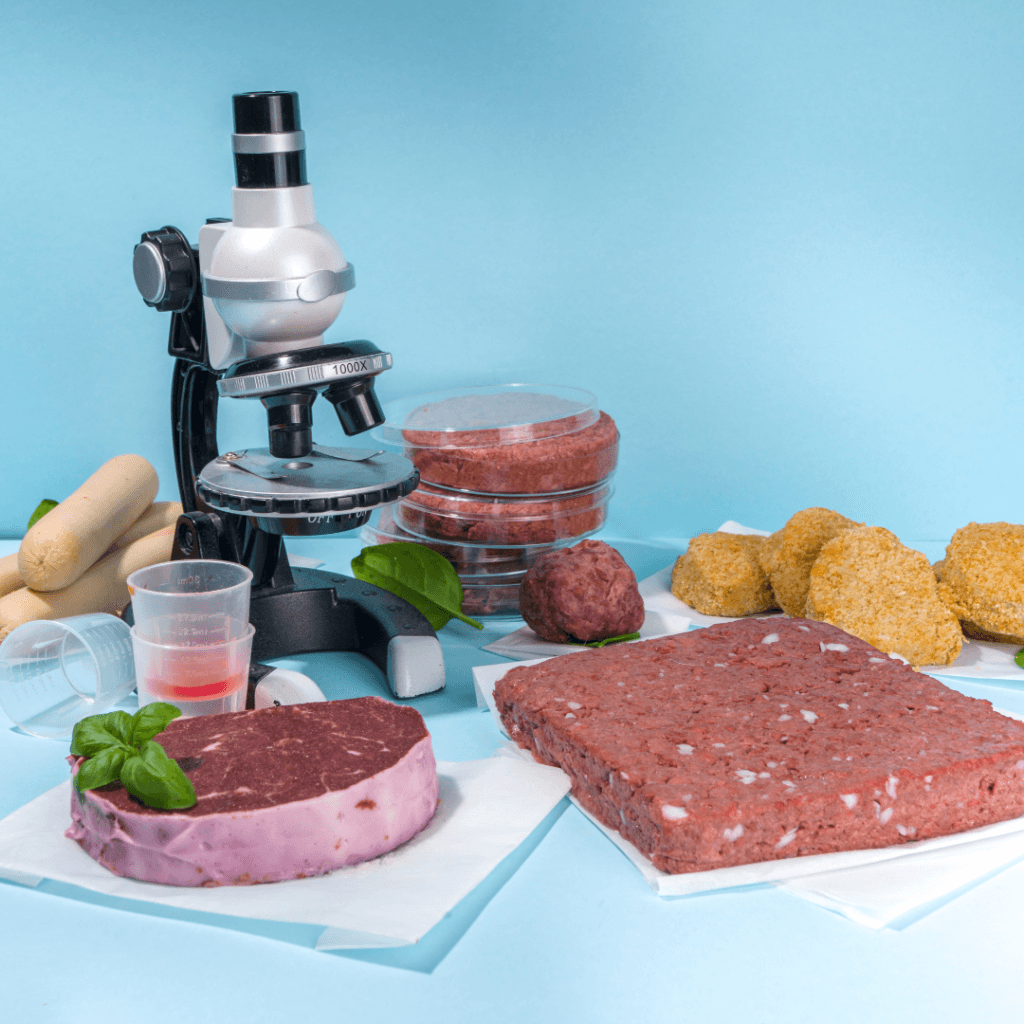 Pros And Cons Of Vegan Meat | Updated In May 2026