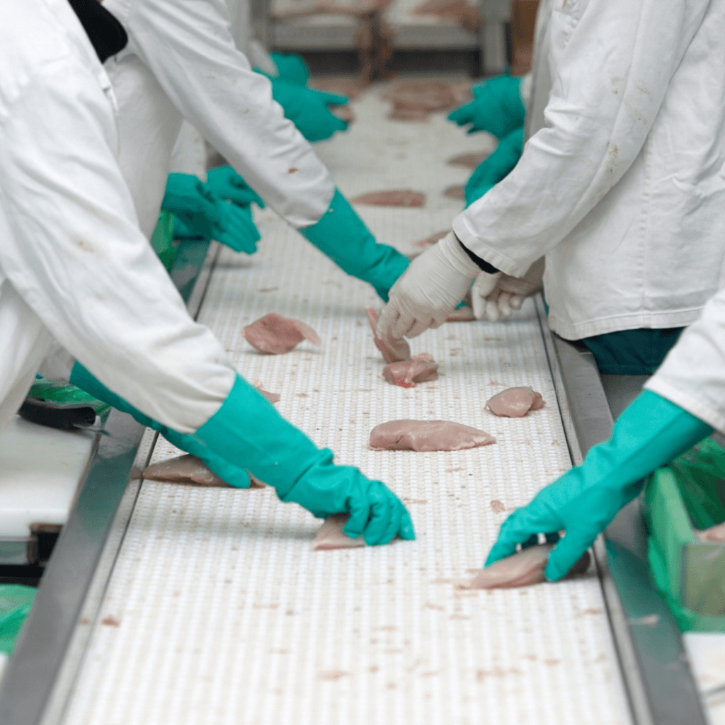 Pros And Cons Of Vegan Meat | Updated In June 2026