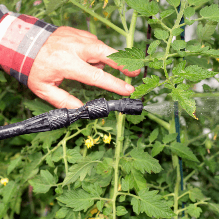 Best Ways To Prevent Cruelty To Animals | Updated December 2025