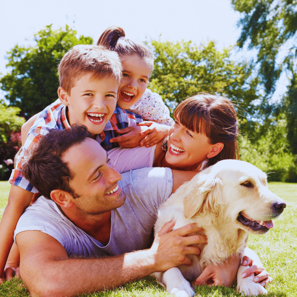 Animal Rights Vs Animal Welfare | Updated In 2025